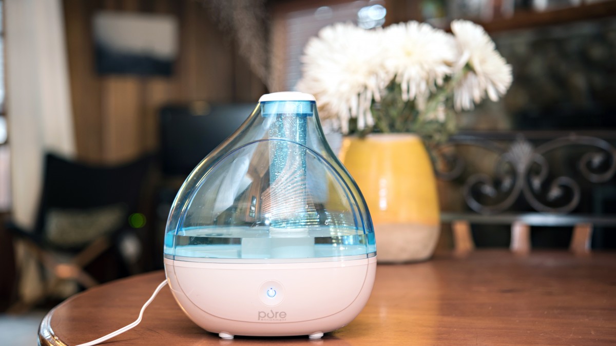 The 5 Best Humidifiers | Tested & Rated