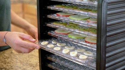 The Best Food Dehydrators | Tested & Ranked