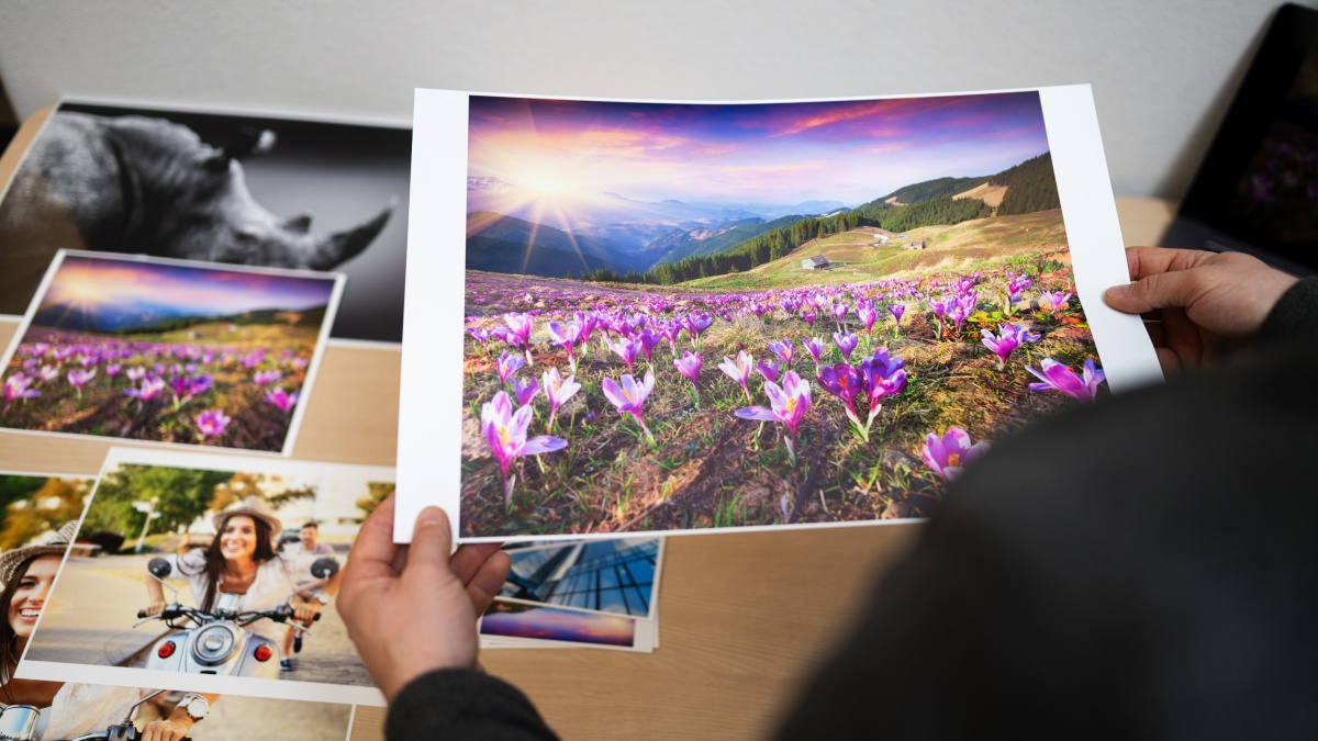 The 4 Best Photo Printers | Tested & Rated