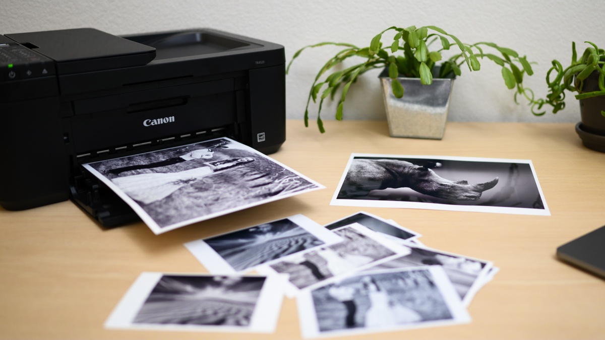 The 4 Best Photo Printers | Tested & Rated