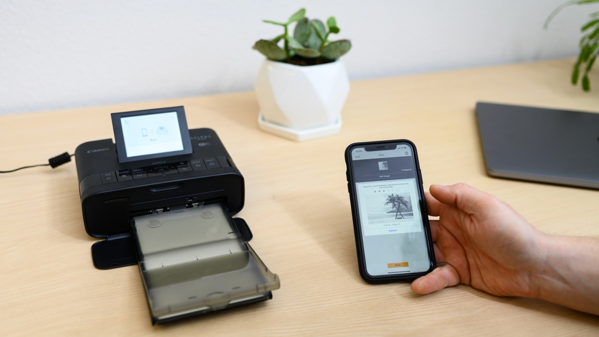 The 4 Best Photo Printers | Tested & Rated