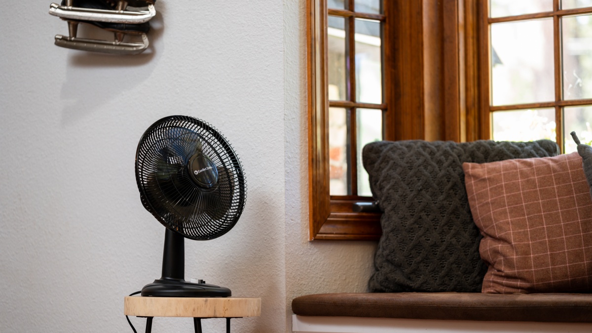 The 3 Best Table Fans of 2025 | Tested & Rated