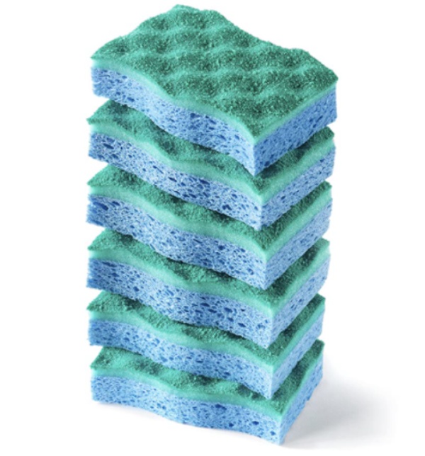 The 5 Best Sponges | Tested & Rated