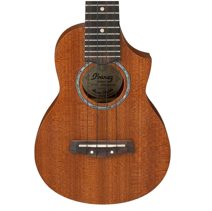 The 4 Best Ukuleles | Tested & Rated