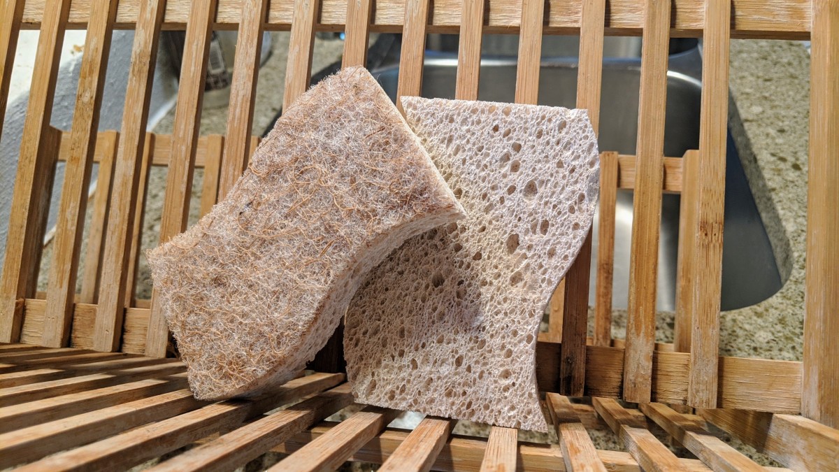 The 5 Best Sponges | Tested & Rated