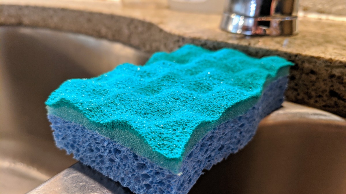 The 5 Best Sponges | Tested & Rated