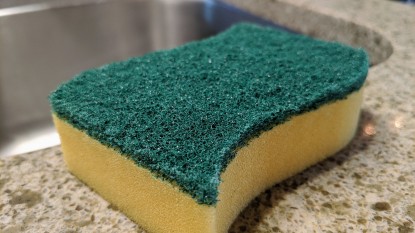The Best Sponge | Tested & Rated