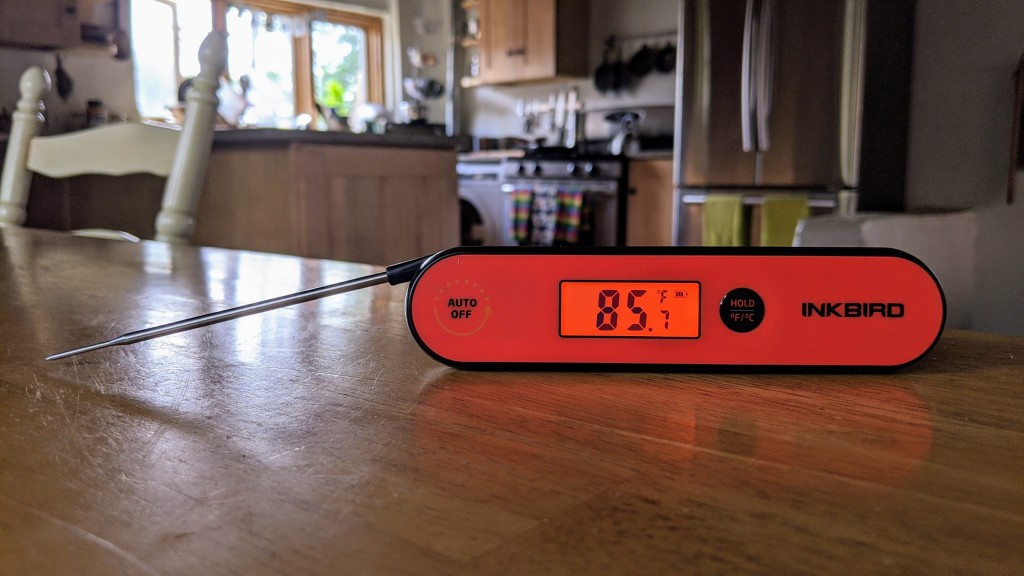 5 Best Meat Thermometers of 2025 | Tested & Rated