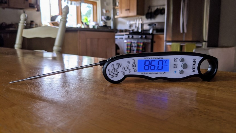 The Best Meat Thermometer of 2025 | Tested & Rated