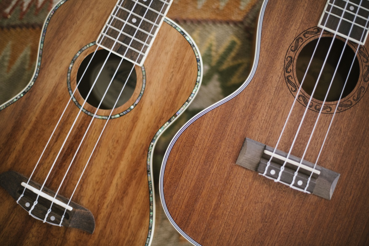 The 4 Best Ukuleles | Tested & Rated