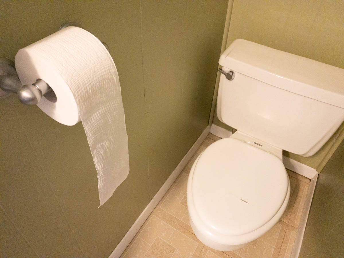 The 4 Best Toilet Papers of 2024 | Tested & Rated