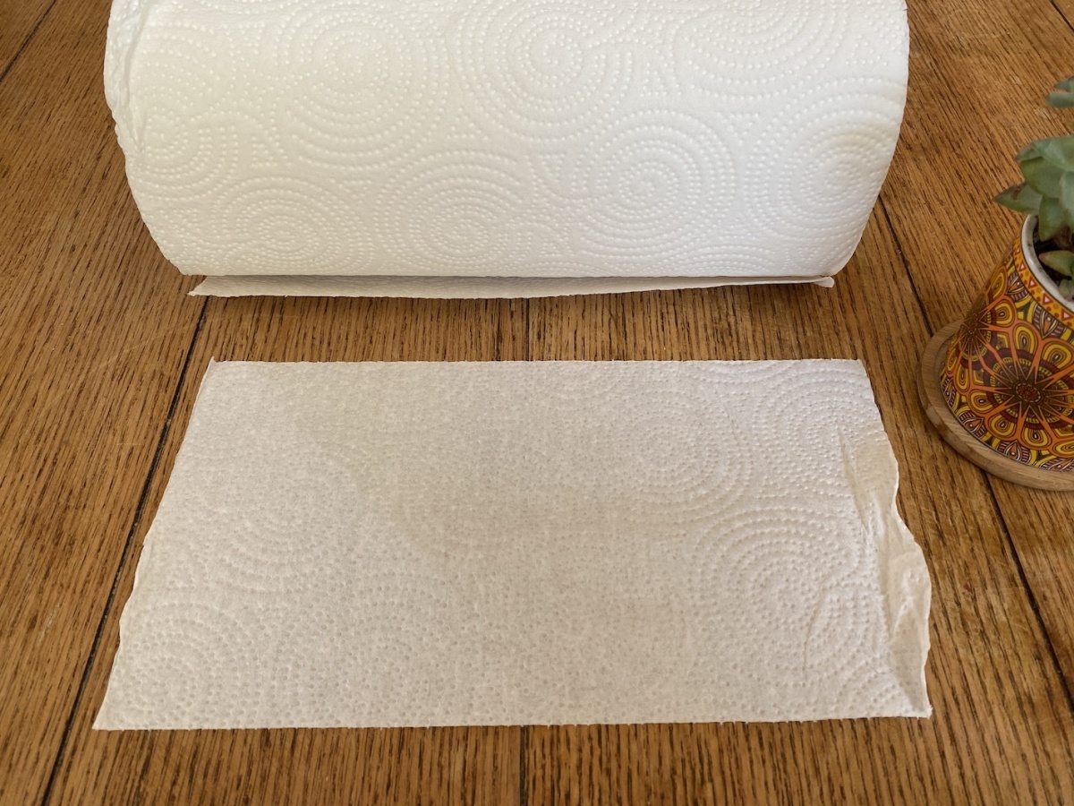 The Best 5 Paper Towels | Tested & Rated