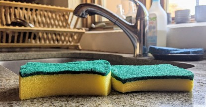 The Best Sponge | Tested & Rated