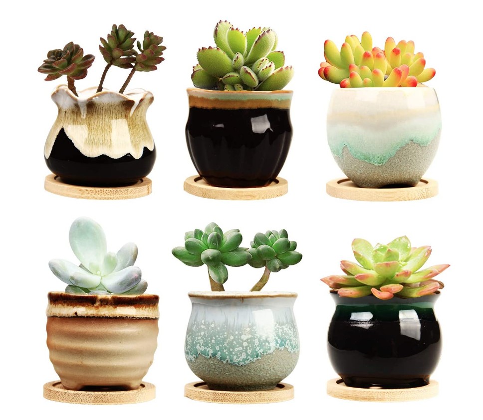 The 6 Best Flower Pots | Tested & Rated