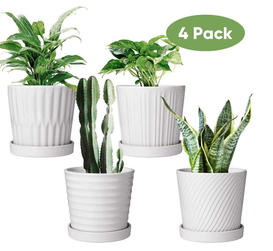 The 6 Best Flower Pots | Tested & Rated