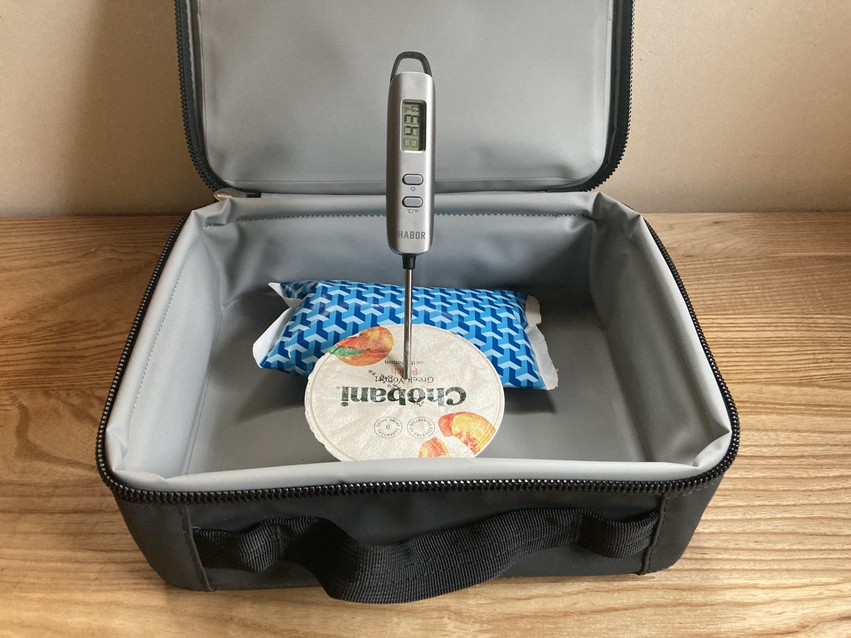 The 4 Best Lunch Boxes of 2025 | Tested & Rated