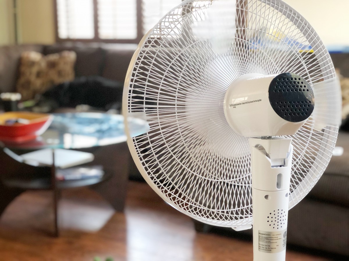 The 5 Best Pedestal Fans | Tested & Rated