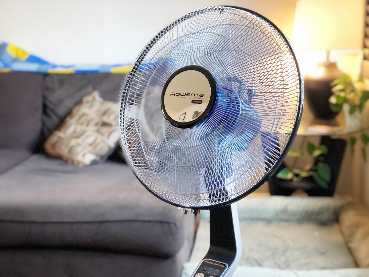 The 5 Best Pedestal Fans | Tested & Rated