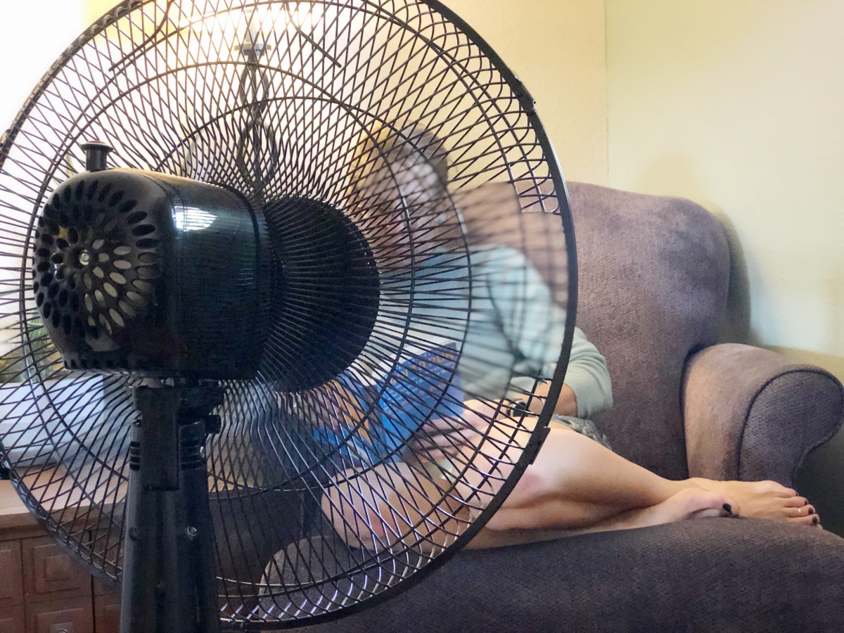 The Best Pedestal Fan of 2025 | Tested & Rated