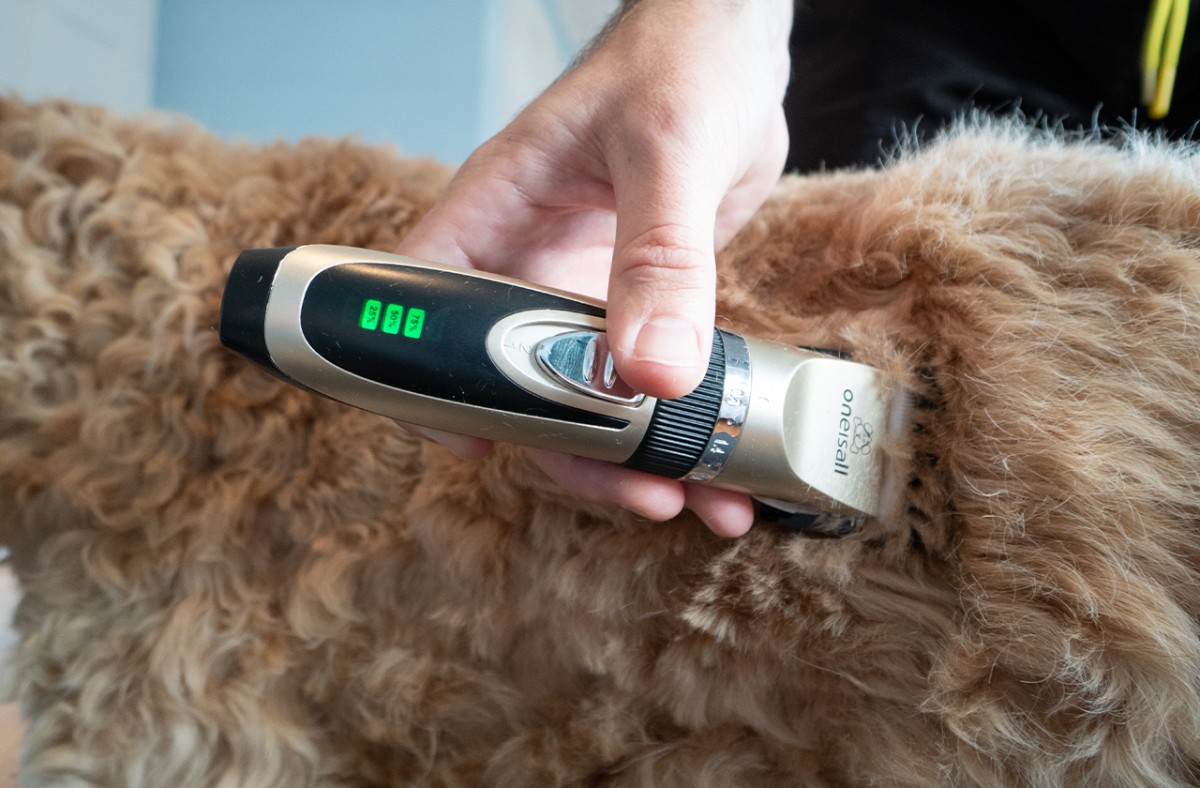 The 4 Best Dog Clippers | Tested & Rated