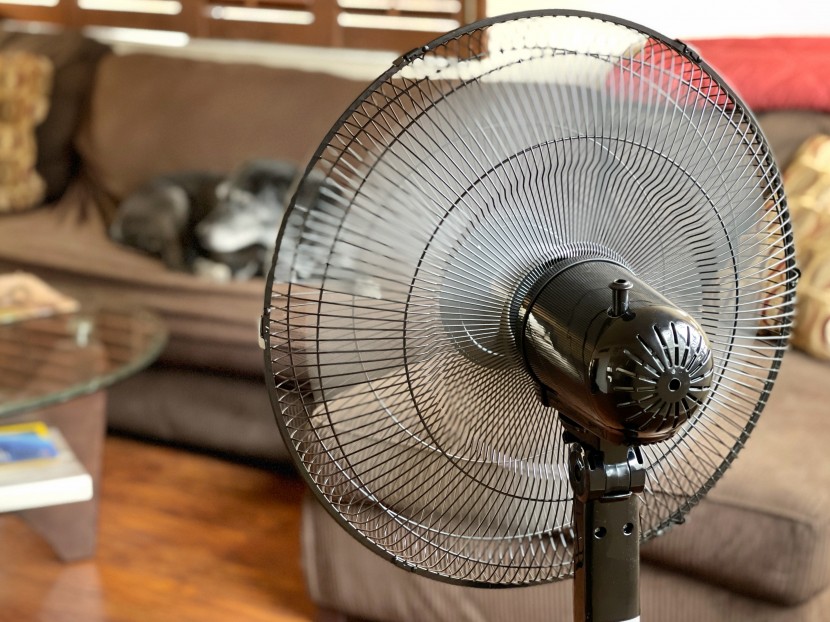 The Best Pedestal Fan | Lab Tested & Ranked