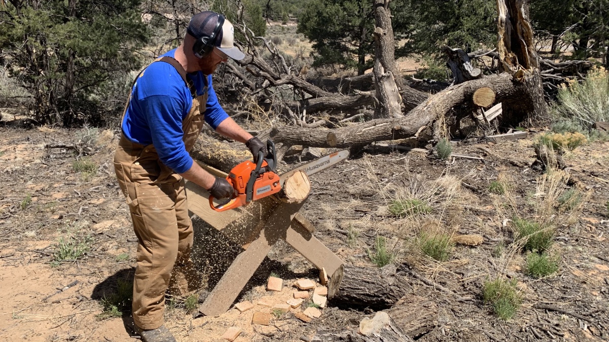 The Best Chainsaws of 2025 | Tested & Rated