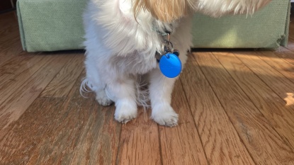 3 Best Bluetooth Trackers of 2025 | Tested & Rated