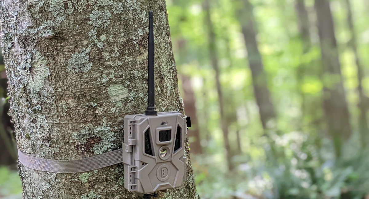 The 3 Best Trail Cameras of 2025 | Tested & Rated