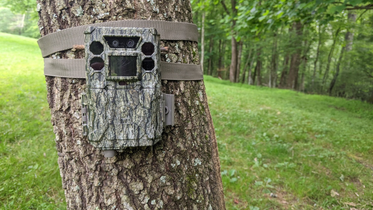 The 3 Best Trail Cameras of 2025 | Tested & Rated