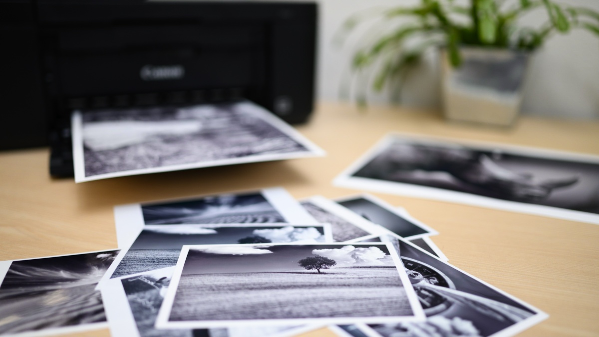 The 4 Best Photo Printers | Tested & Rated