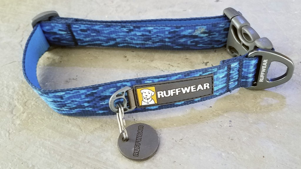 The 7 Best Dog Collars of 2024 | Tested & Rated