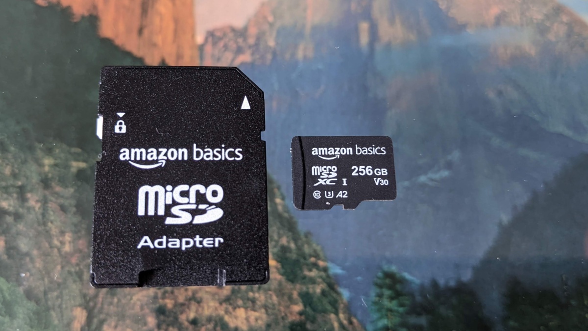 The 4 Best MicroSD Cards | Tested & Rated