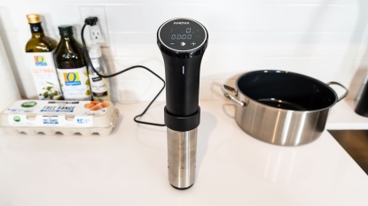 Anova Culinary Precision Cooker 3.0 Review | Tested